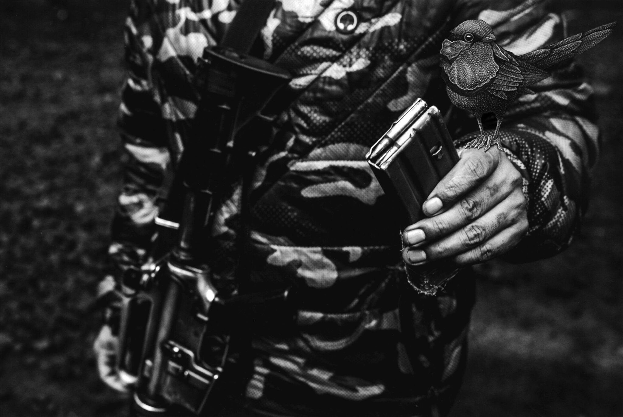 Le mostre da vedere in galleria a Milano a dicembre 2025. La guida