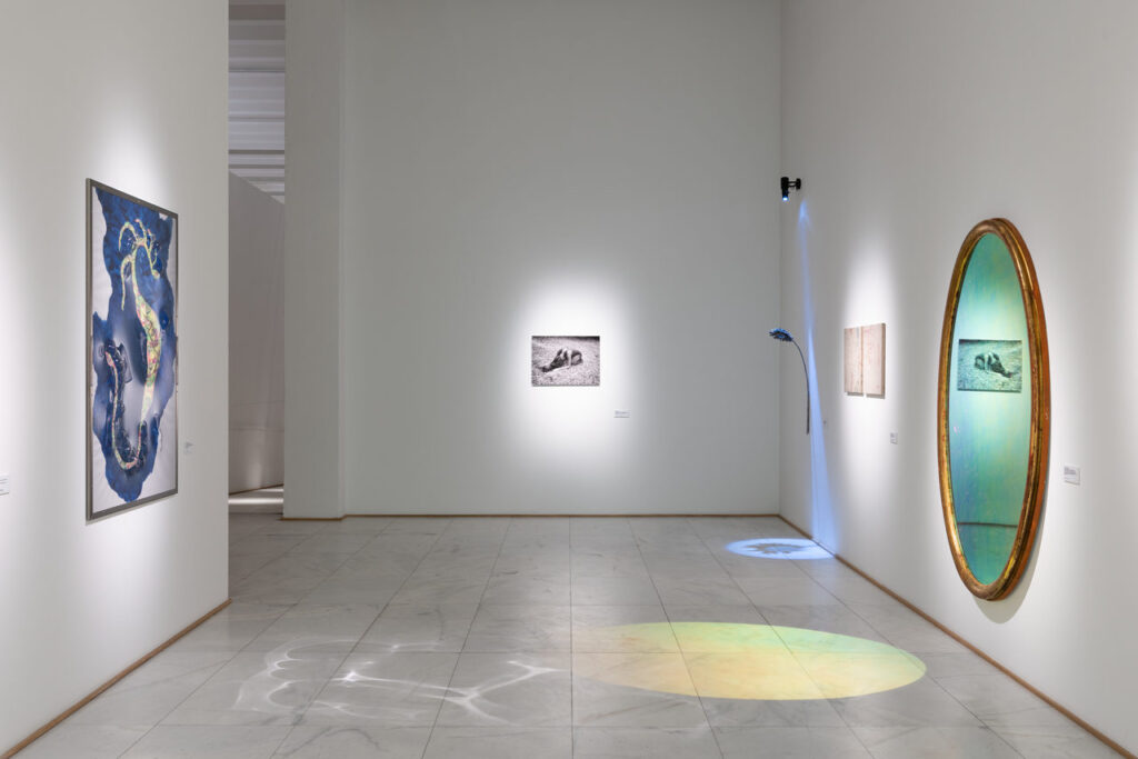 La mostra del Premio Arte Circolare da Triennale Milano