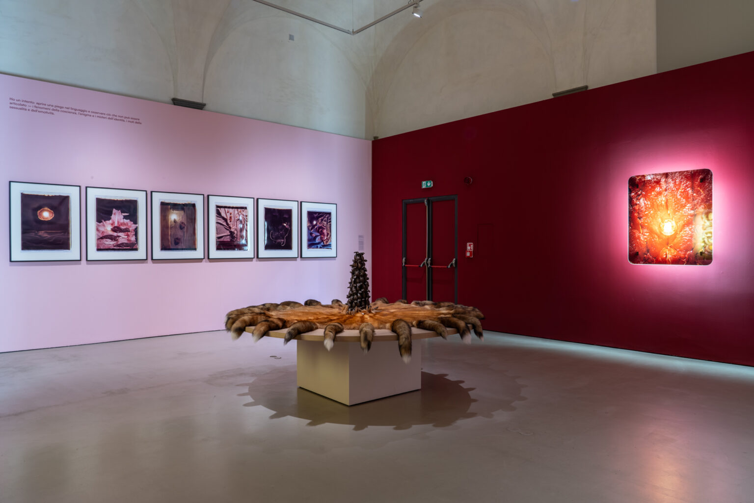 La mostra di Helen Chadwick al Museo del Novecento di Firenze