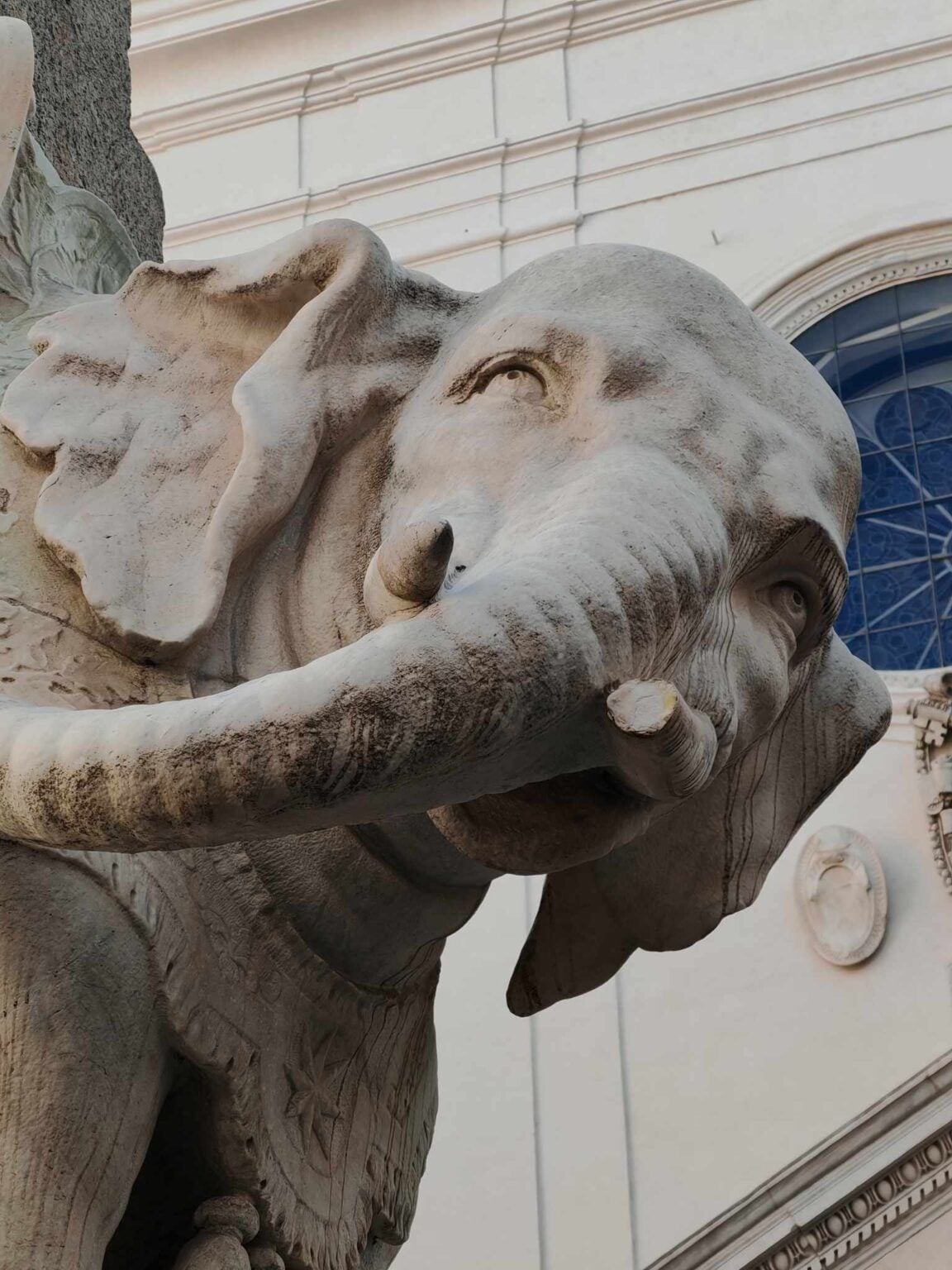 A Roma spezzata una zanna dell’Elefante della Minerva del Bernini. Da ...