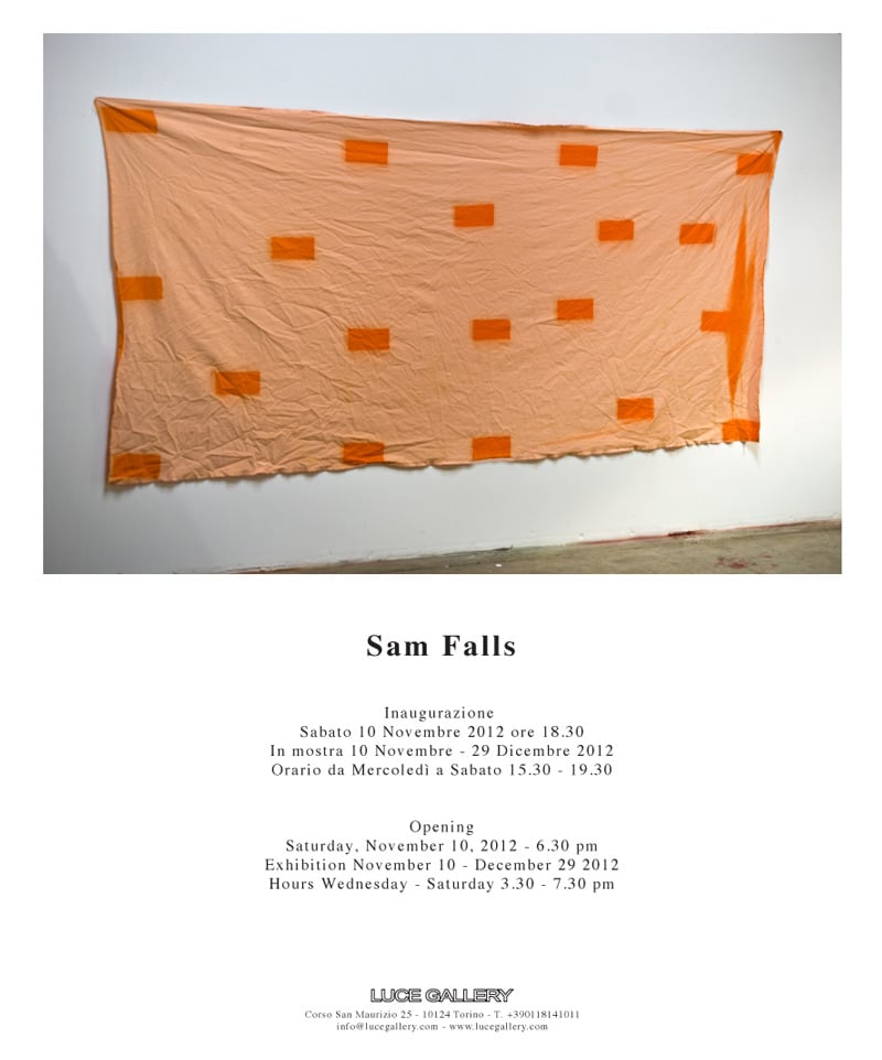 Sam Falls | Artribune