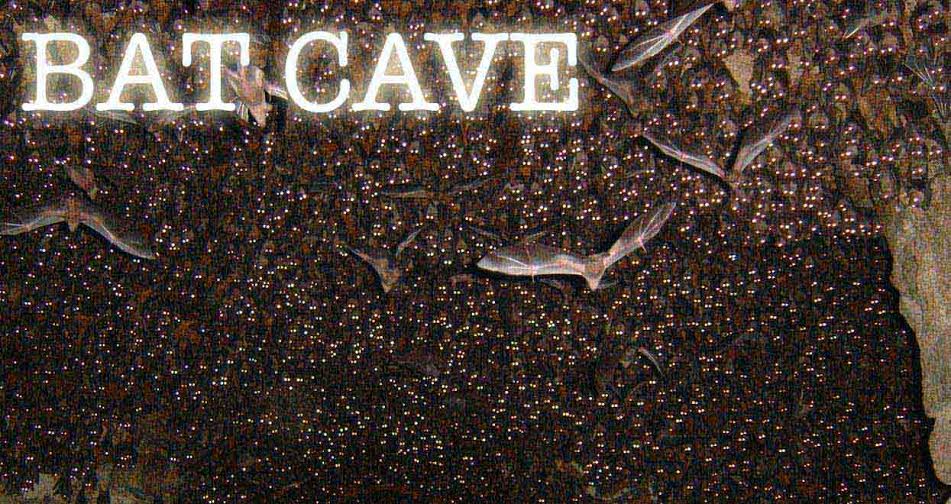 Bat Cave | Artribune