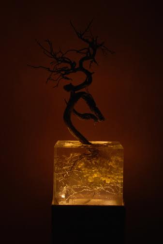 Giulia Manfredi - Ouroboros | Artribune