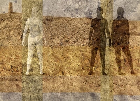 Brunella Longo - Nelle terre della percezione e del pensiero | Artribune