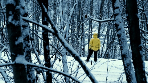 Trame. Realtà arte cinema invenzione | Artribune