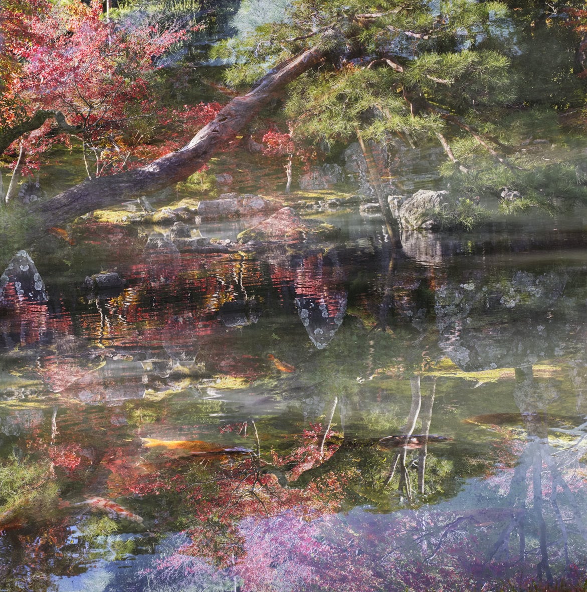 Ori Gersht - The Floating World | Artribune