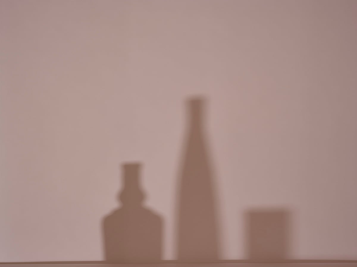 Catherine Wagner - In Situ: Traces of Morandi | Artribune