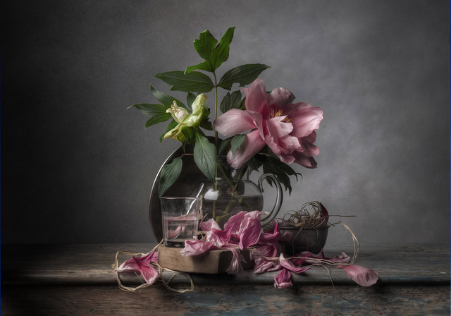 Christopher Broadbent - Still Life | Artribune