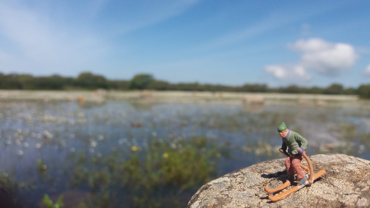 Davide Volponi - Fiori Storie Città | Artribune