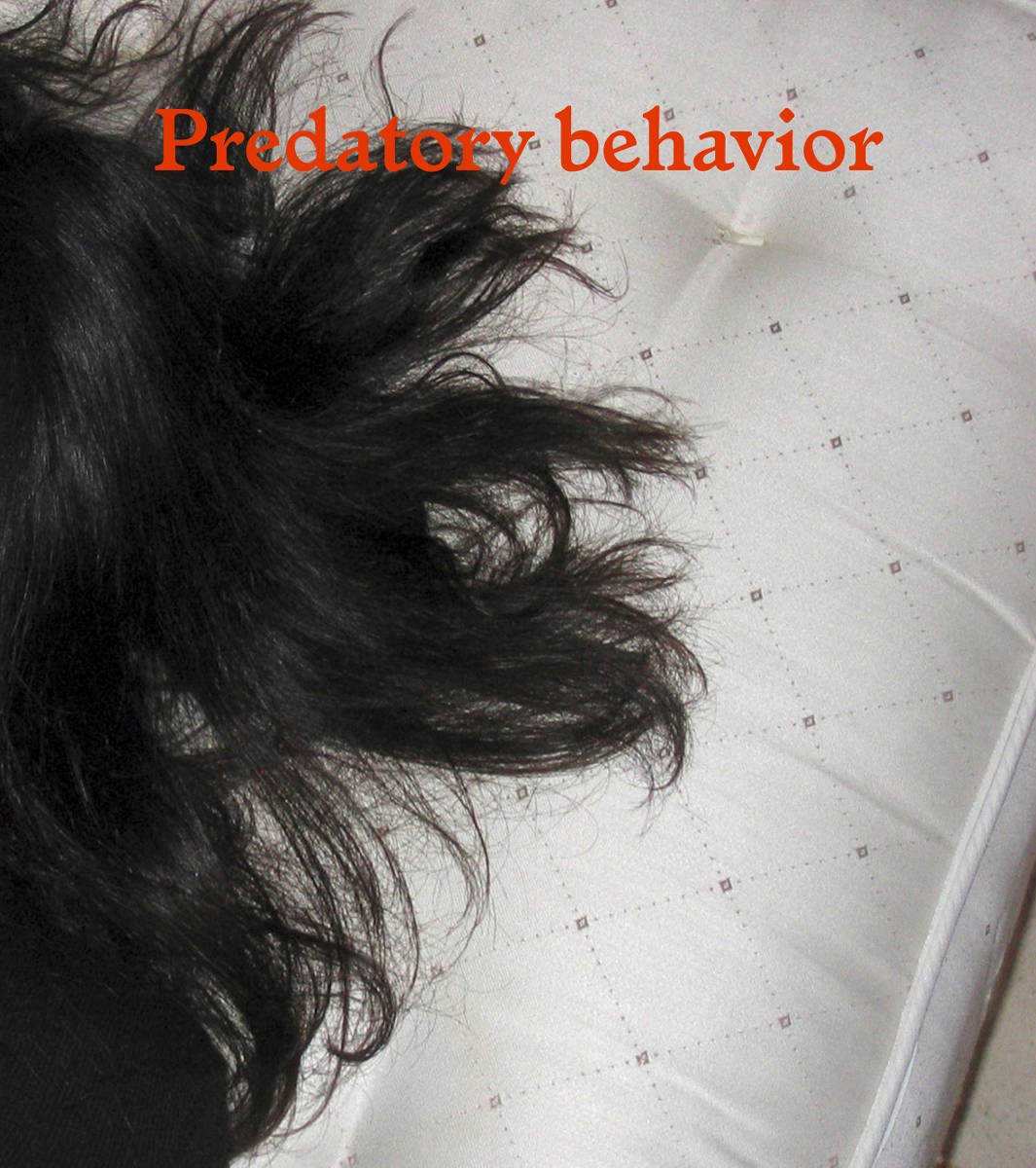 Predatory behavior | Artribune