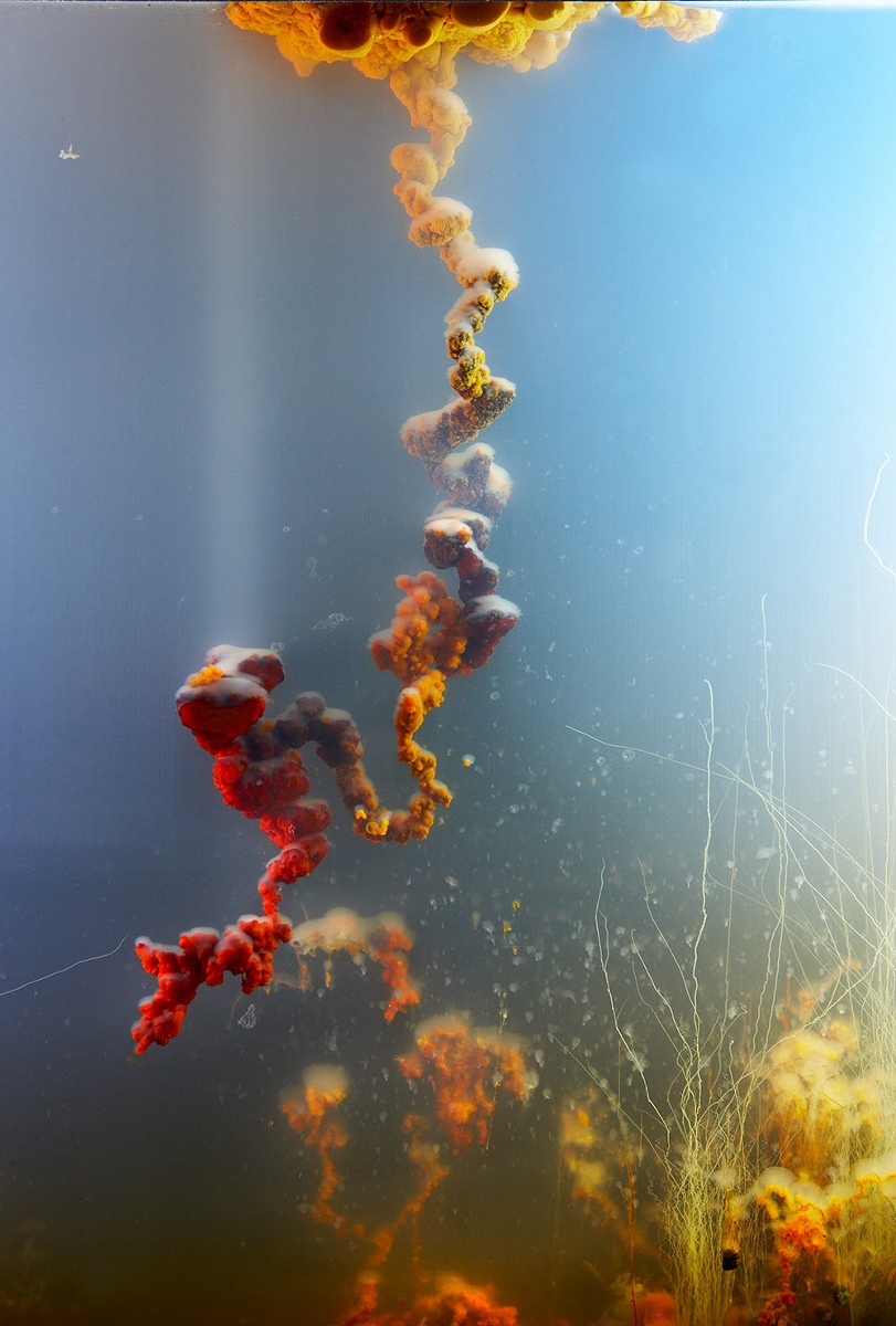 Hicham Berrada - Presage | Artribune