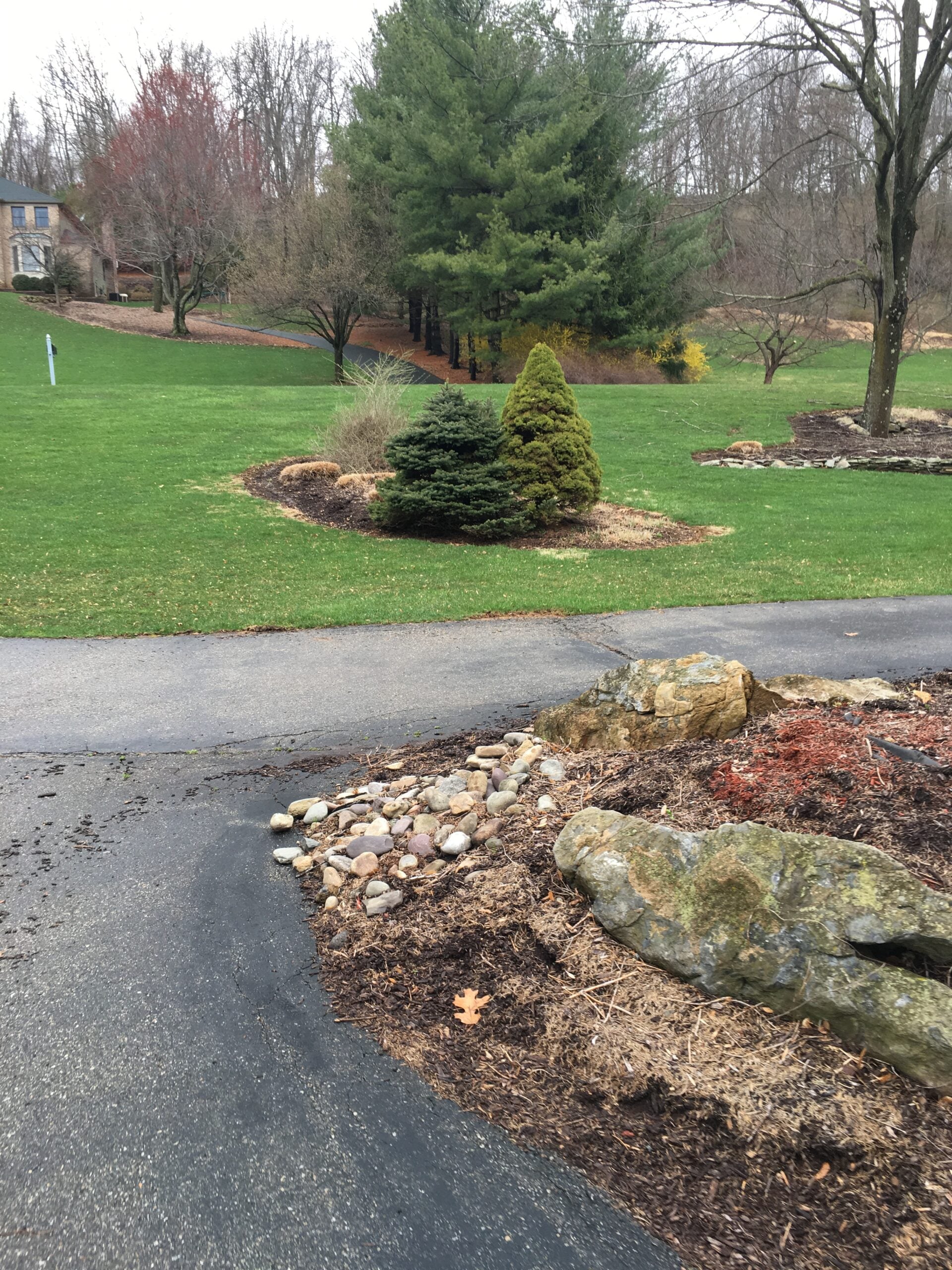 Libby Rothfeld - Everybody Knows | Artribune