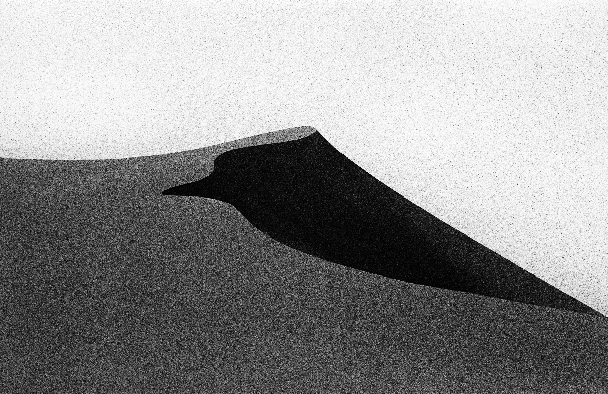 John R. Pepper - Inhabited Desert | Artribune