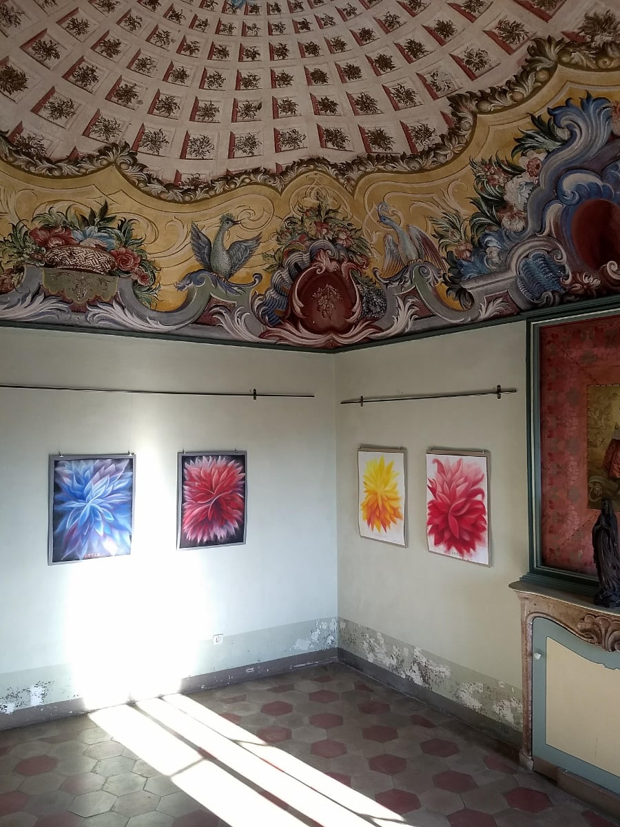 Shane Guffogg - The Path of Light | Artribune