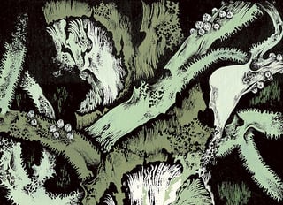 Simone Carraro - Radica corta, albero brullo | Artribune