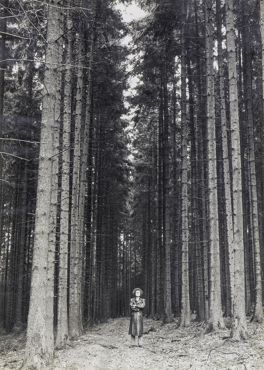 Klaus Rinke - Press the botton | Artribune