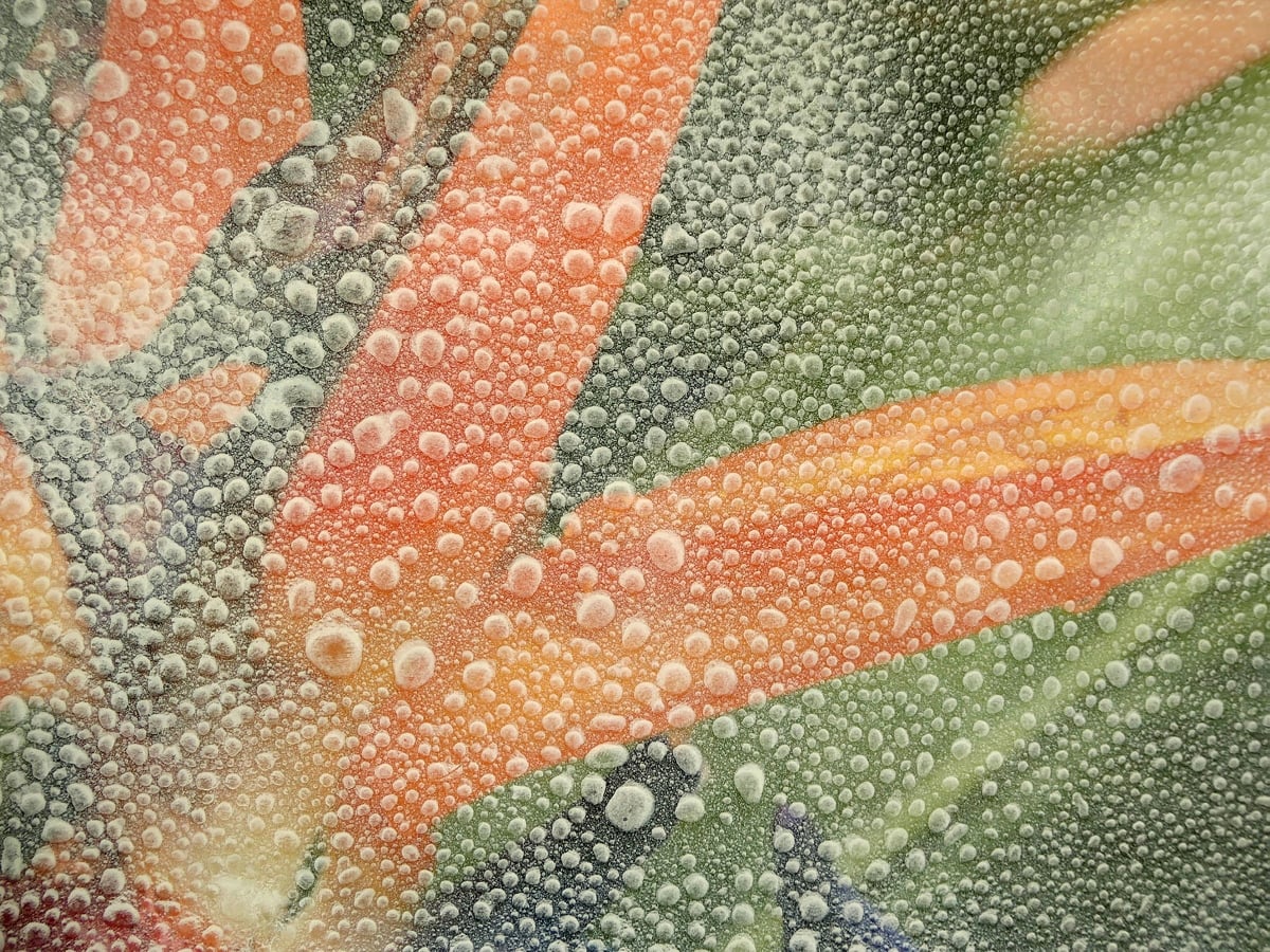 Stefano Arienti | Artribune