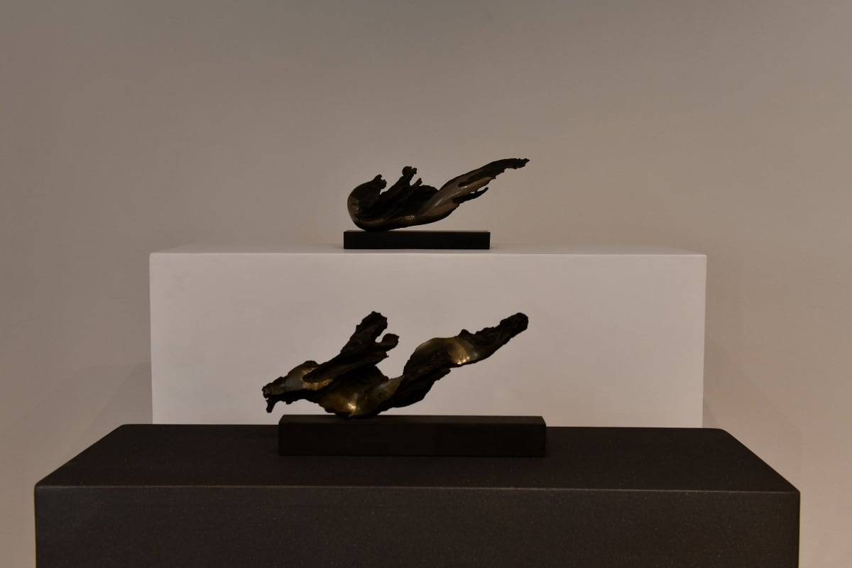 Somaini in America | Artribune