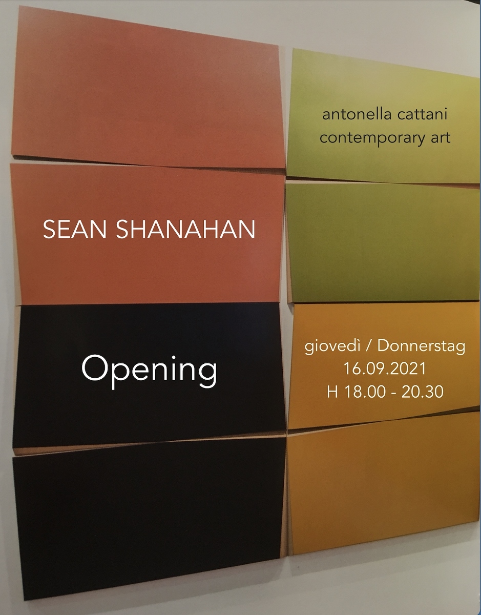 Sean Shanahan | Artribune