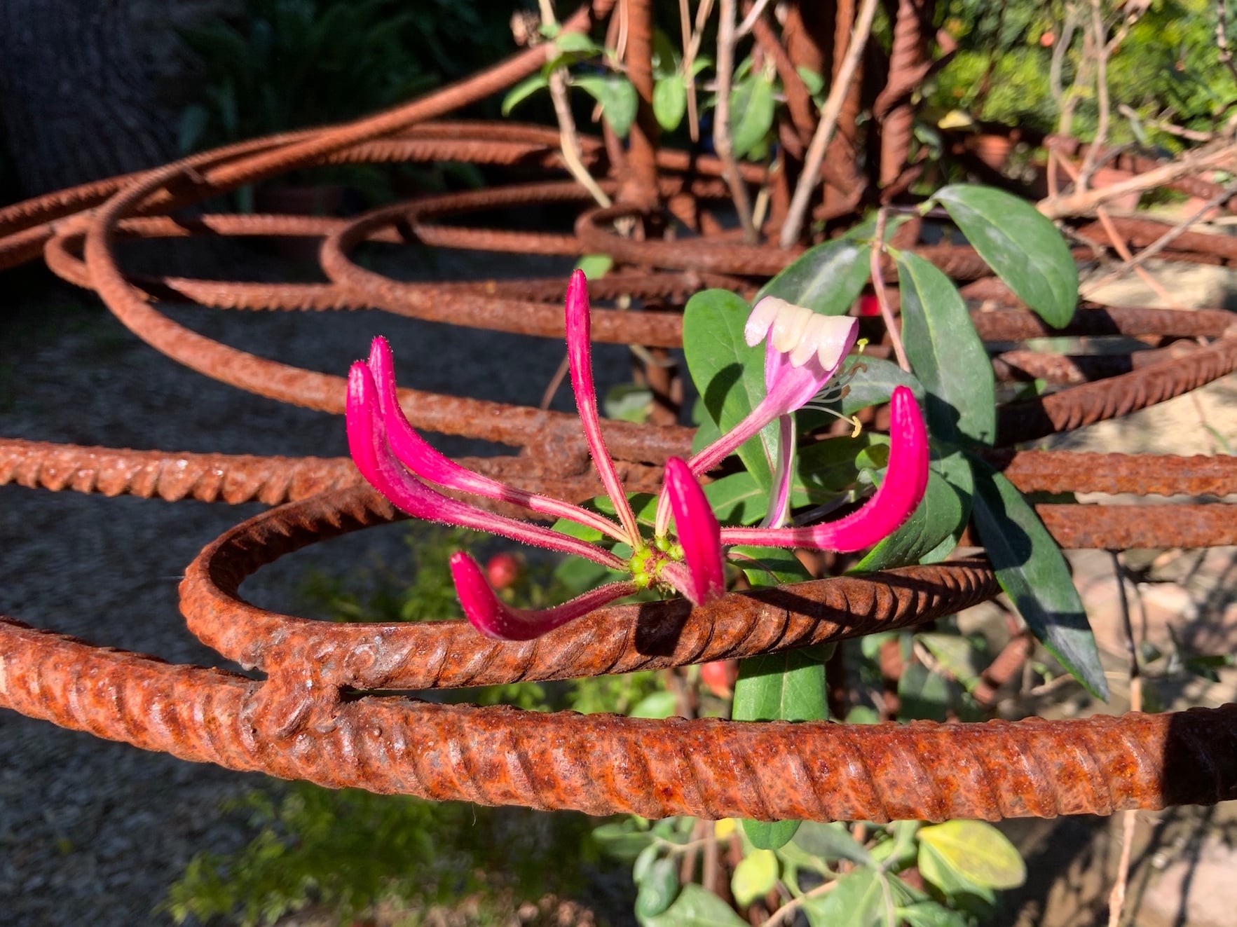 Matteo Baroni - Opera Viva | Artribune