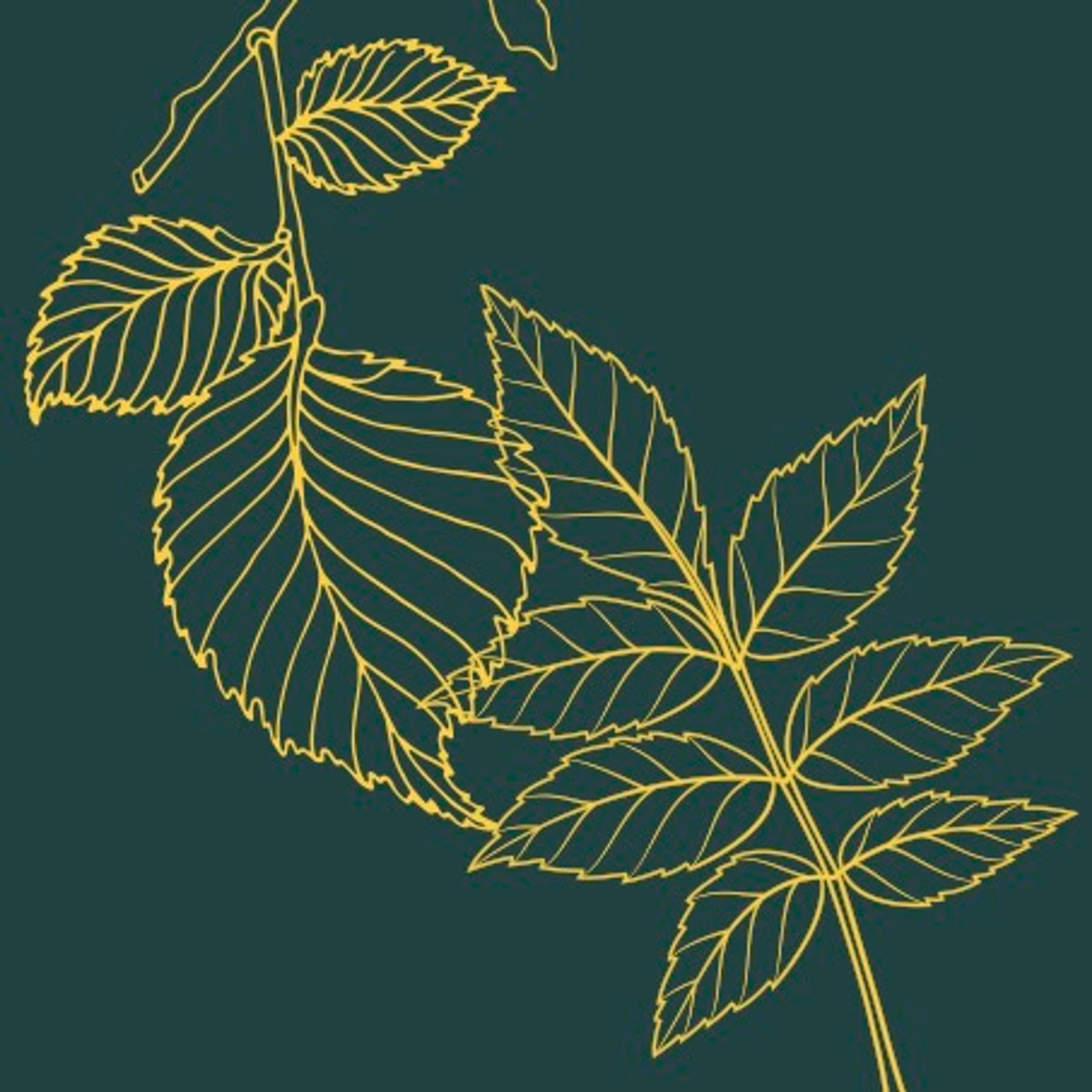 Bethan Huws - The Ash and the Elm | Artribune