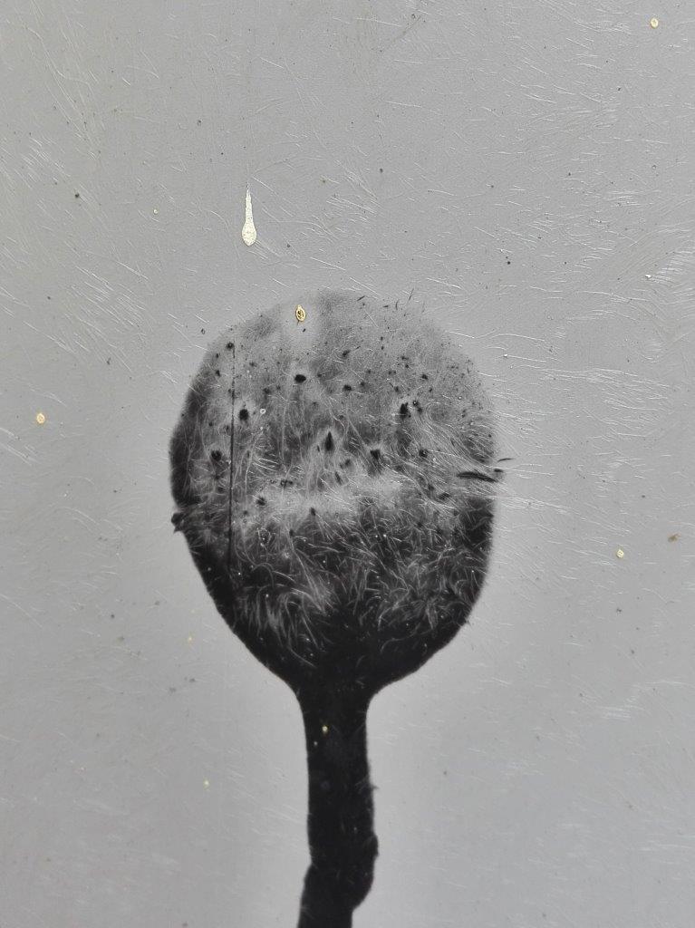 Fabrizio Tridenti - Soliloquio | Artribune