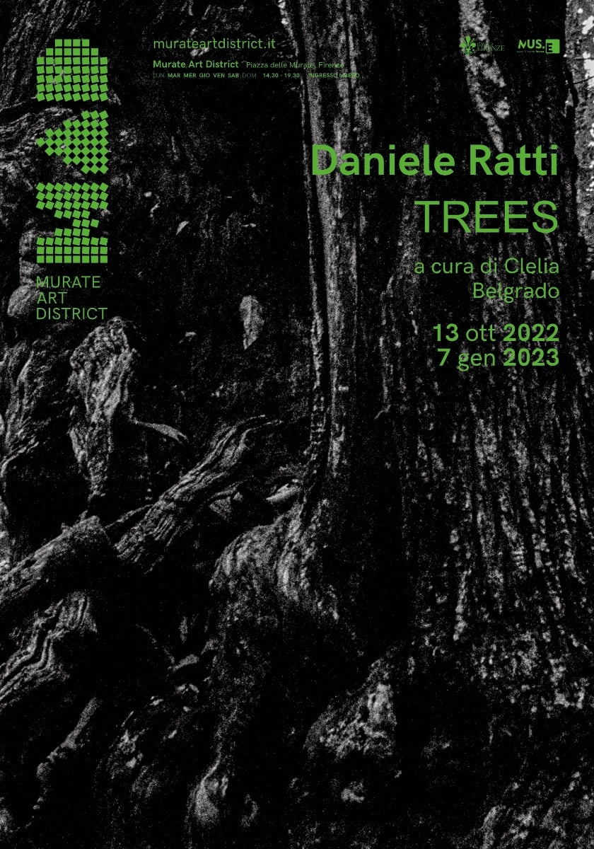 Daniele Ratti - Trees | Artribune